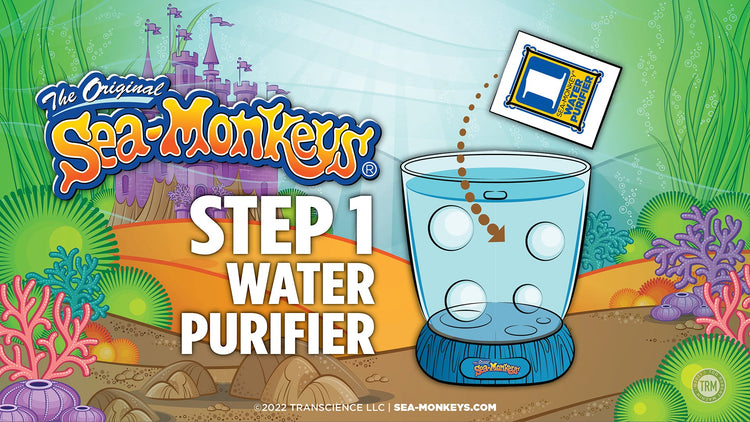 FAQs – Sea-Monkeys USA