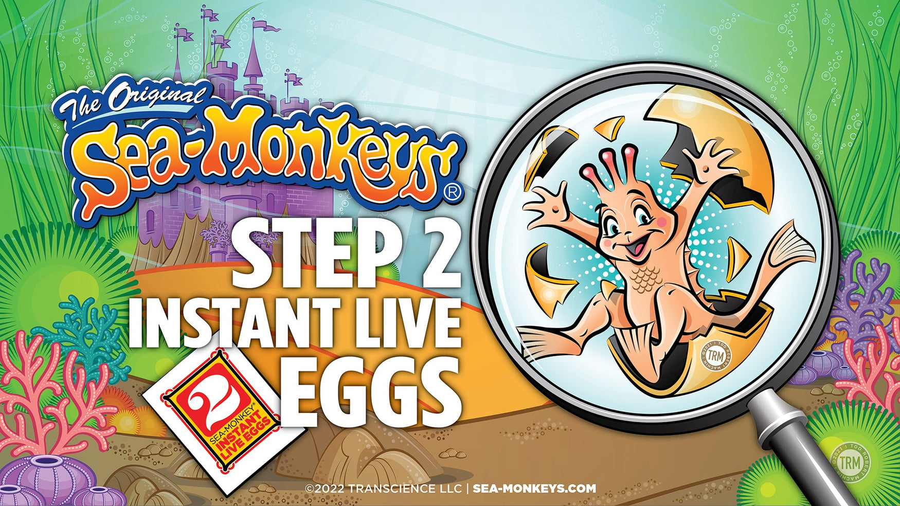 Instructions New – Sea-Monkeys USA