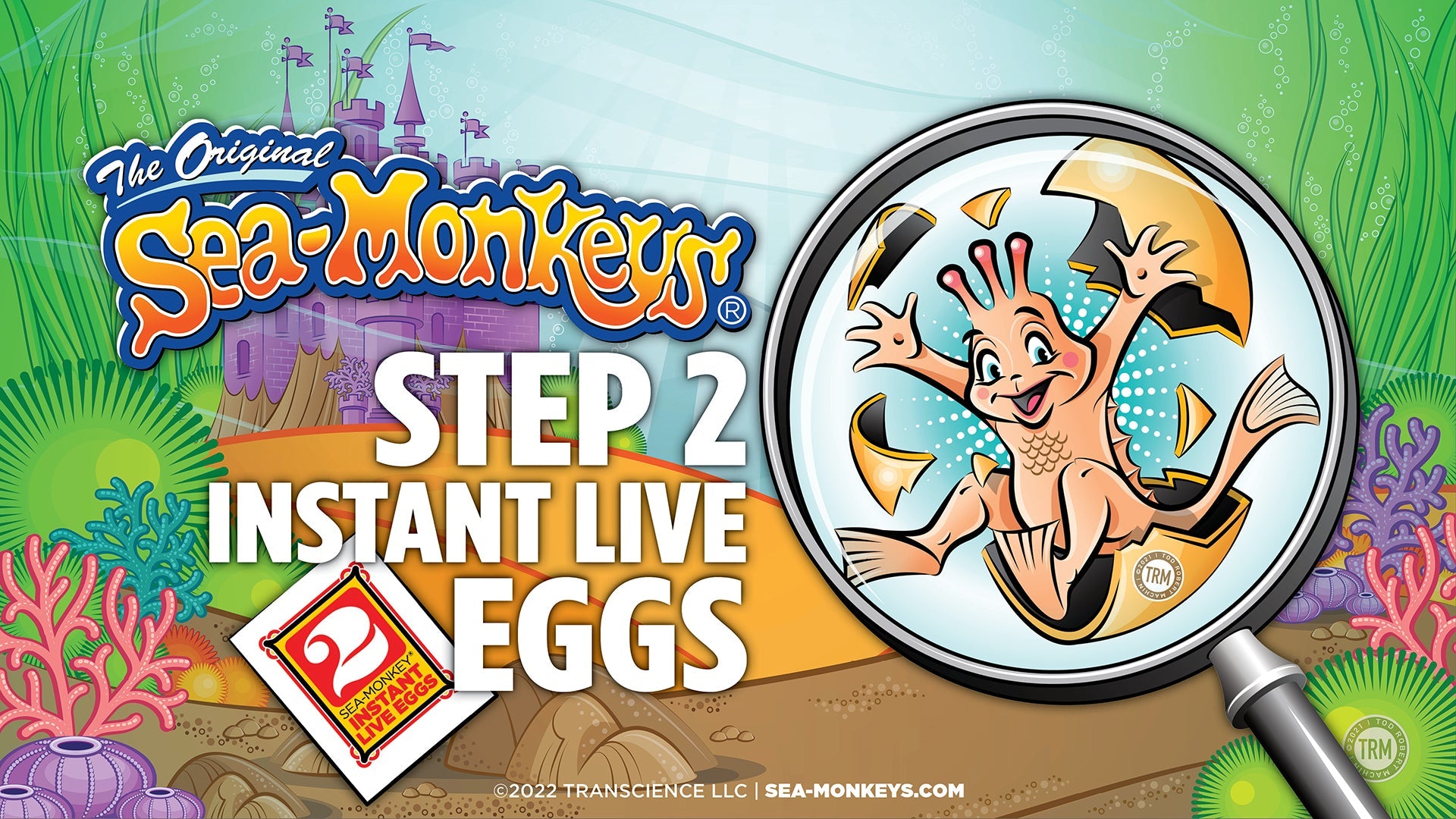 FAQs – Sea-Monkeys USA