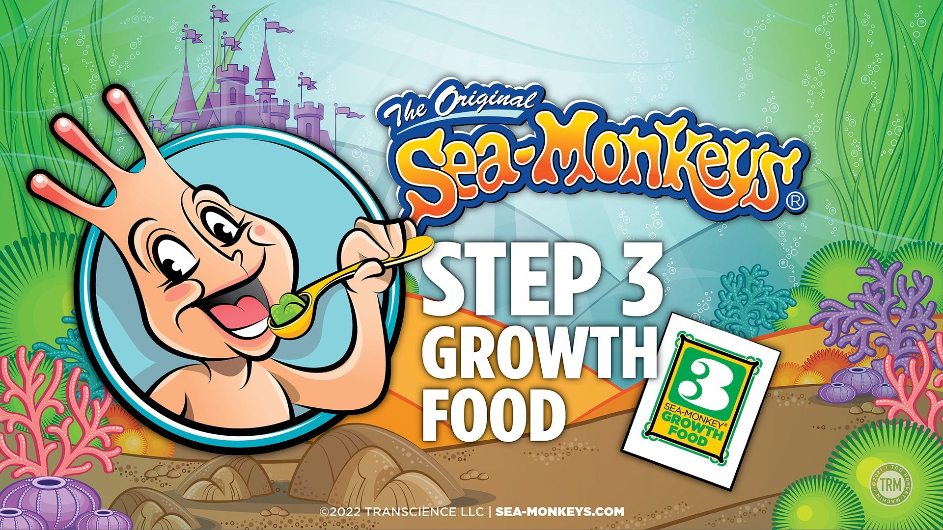 FAQs – Sea-Monkeys USA
