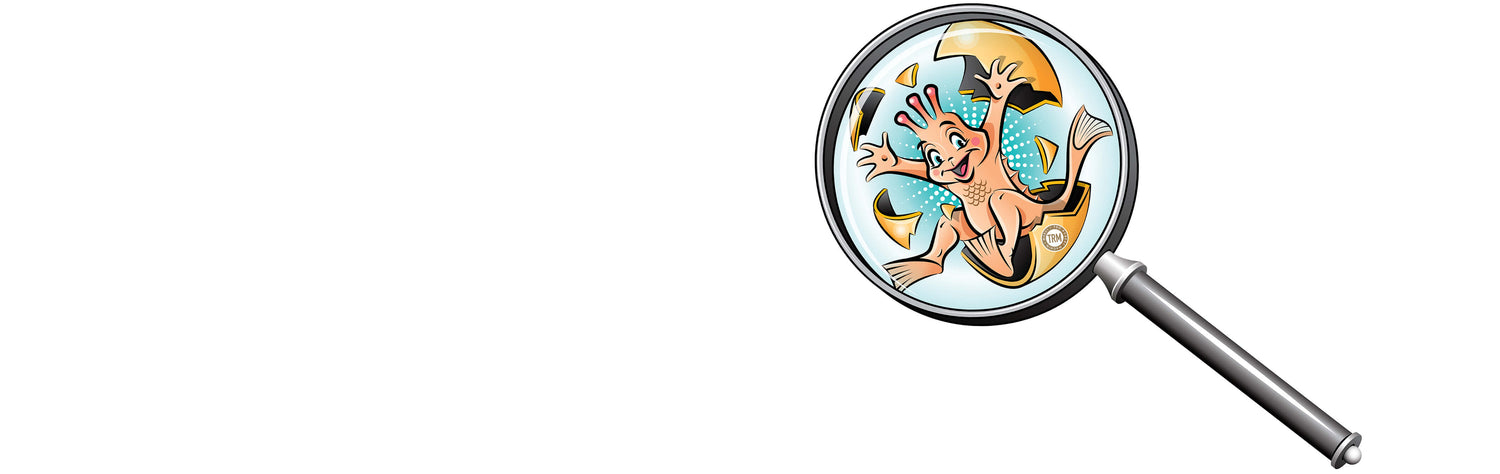 HATCHING HELP – Sea-Monkeys USA