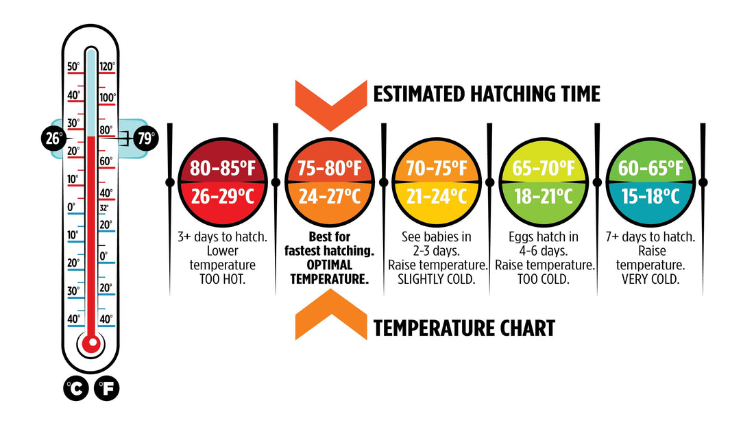 Temperature – Sea-Monkeys USA