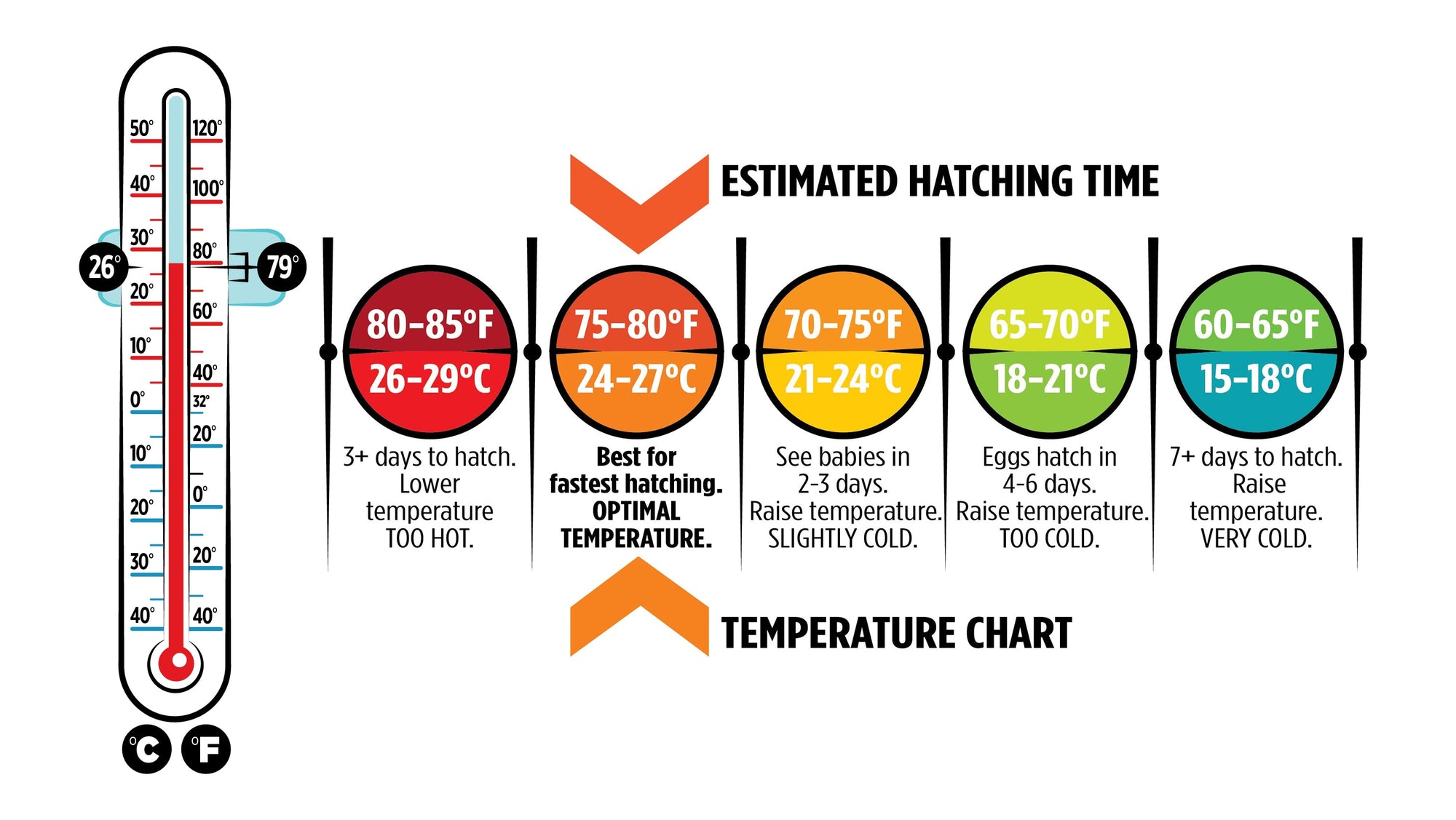 Temperature – Sea-Monkeys USA