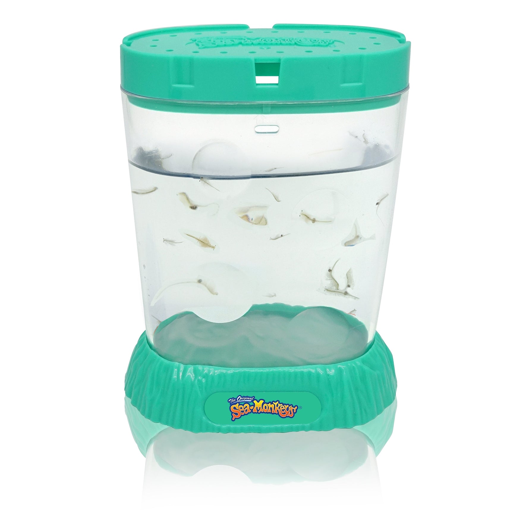 Sea-Monkeys® Classic Ocean-Zoo® – Sea-Monkeys USA