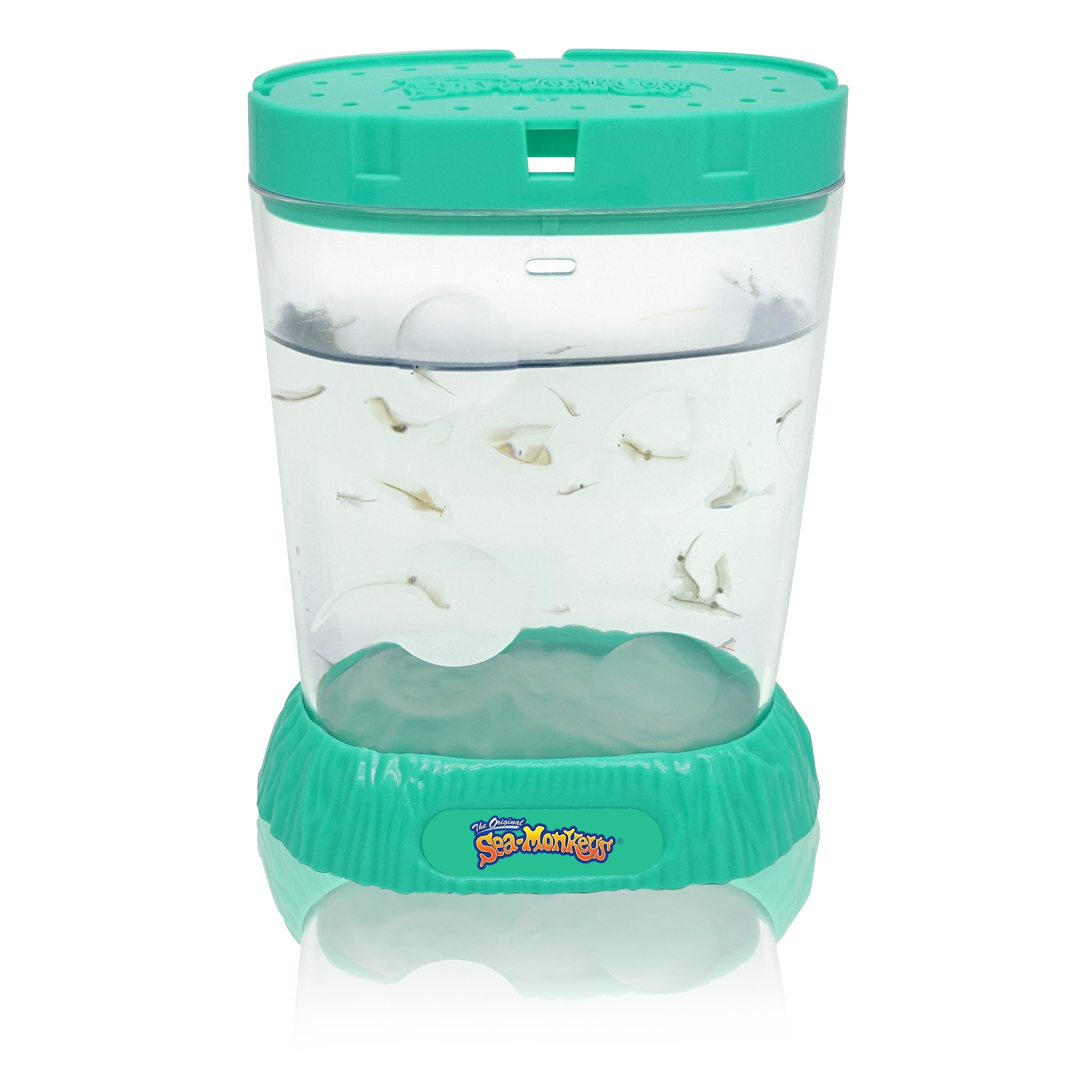 Sea-Monkeys® Classic Ocean-Zoo® – Sea-Monkeys USA