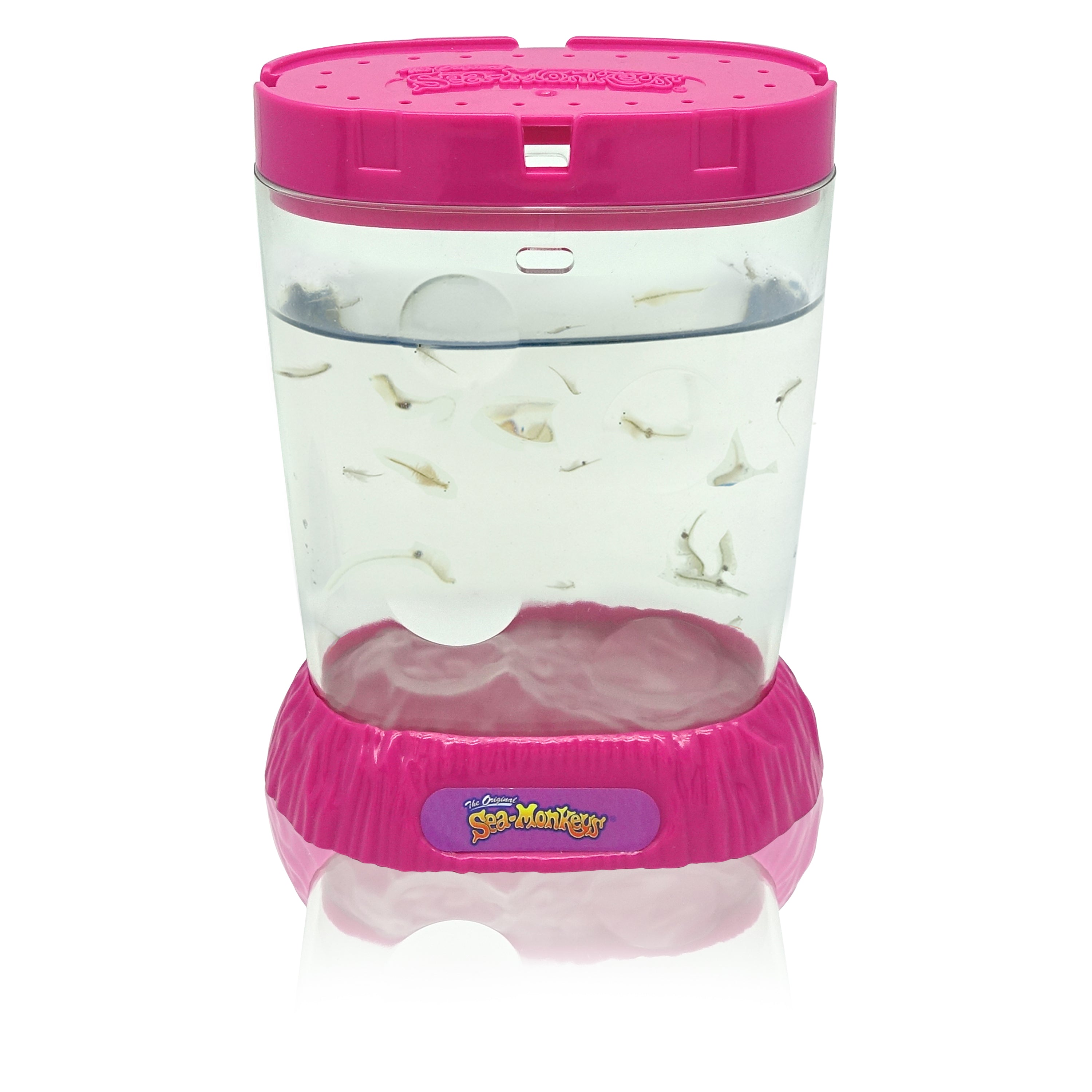 Sea-Monkeys® Classic Ocean-Zoo® – Sea-Monkeys USA