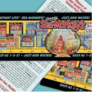 Sea-Monkeys® Classic Ocean-Zoo® – Sea-Monkeys USA
