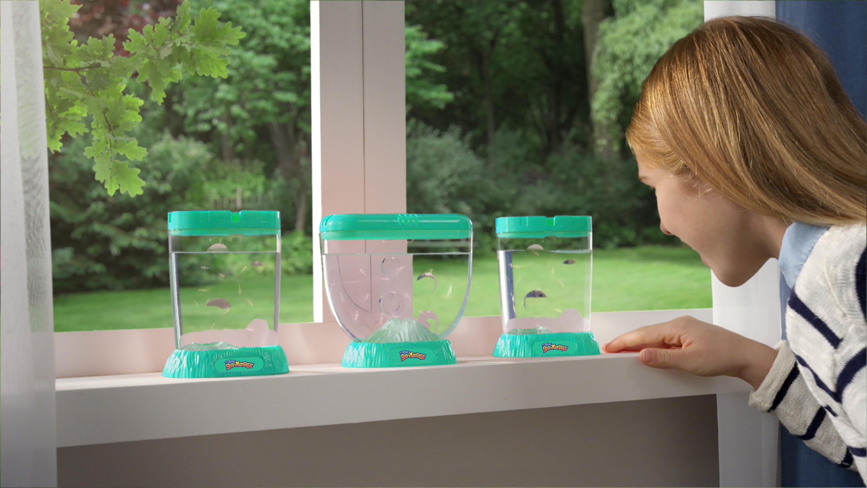 ABOUT US – Sea-Monkeys USA
