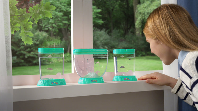 ABOUT US – Sea-Monkeys USA