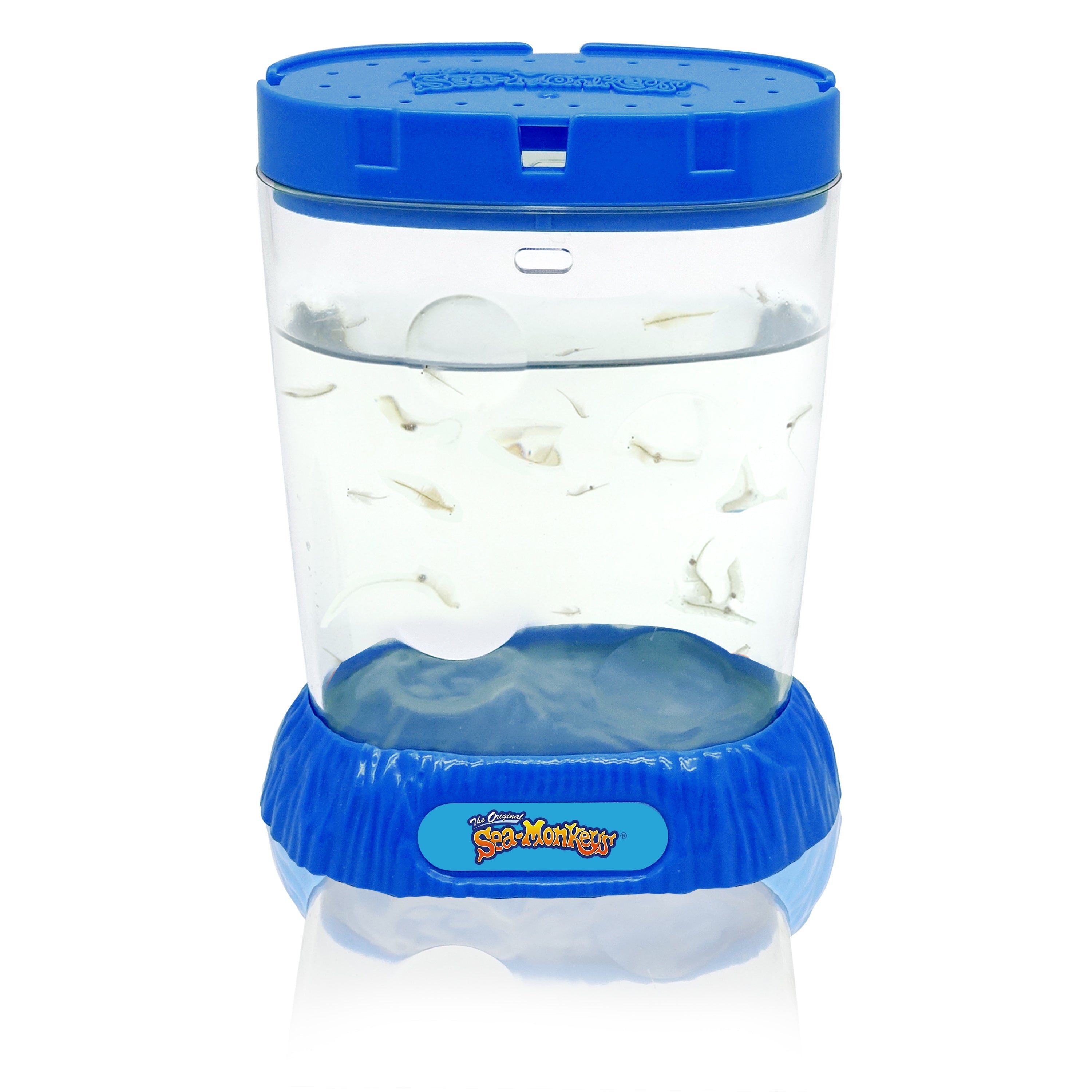Sea-Monkeys® Classic Ocean-Zoo® – Sea-Monkeys USA