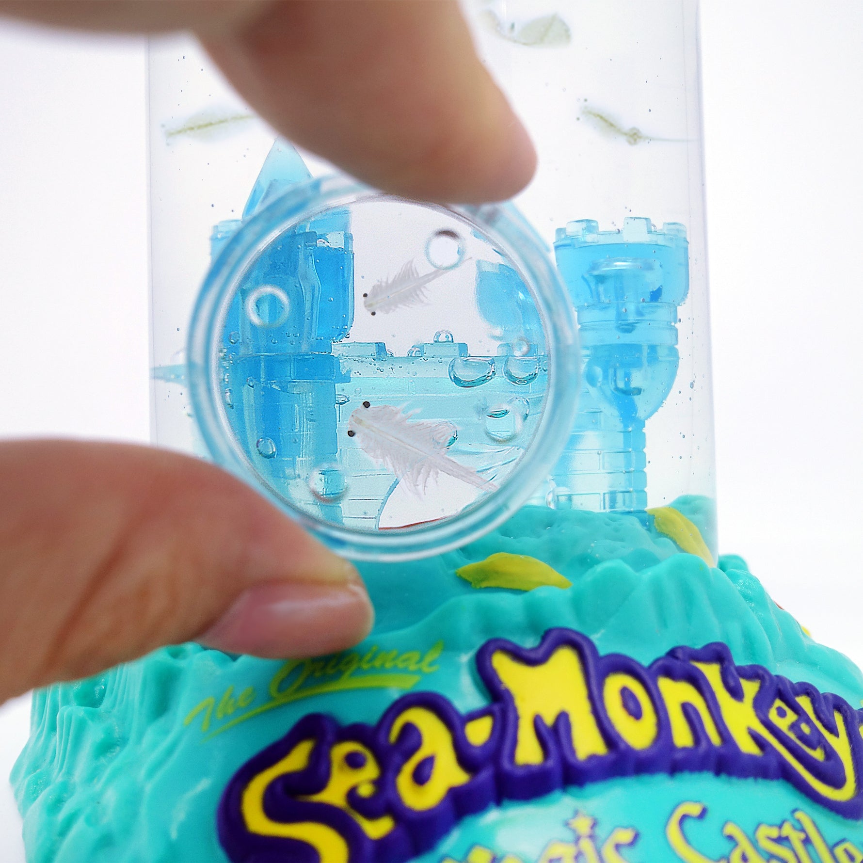 Sea-Monkeys® MAGIC CASTLE – Sea-Monkeys USA